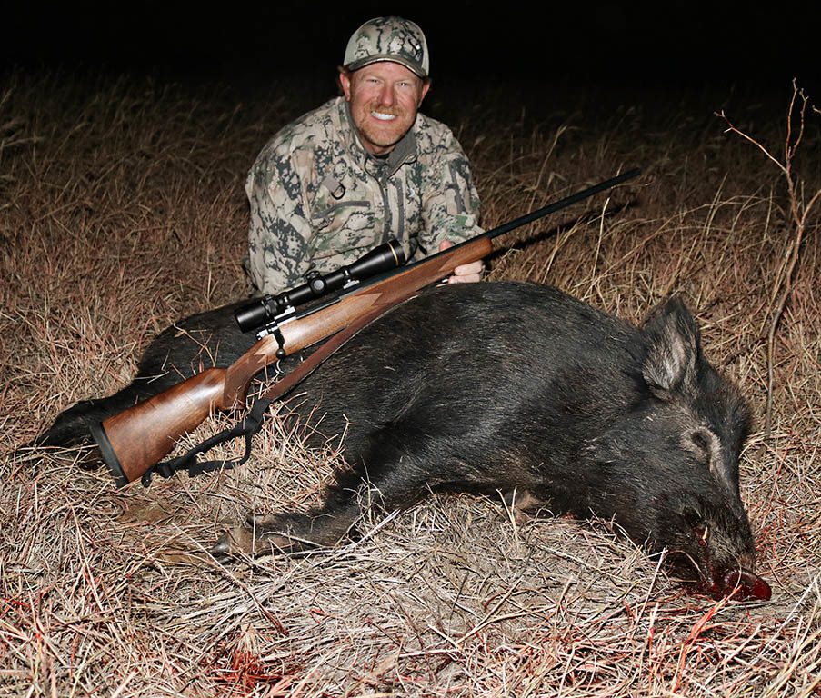 Wild Boar Tusks Texas
